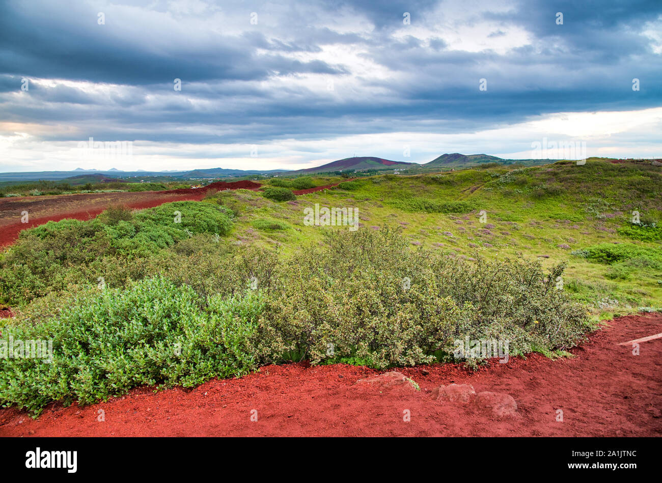 Vegetation of iceland hi-res stock photography and images - Alamy