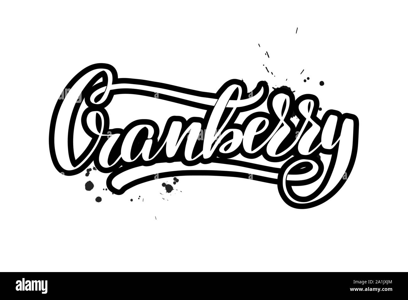 Vector calligraphy illustration isolated on white background Stock ...