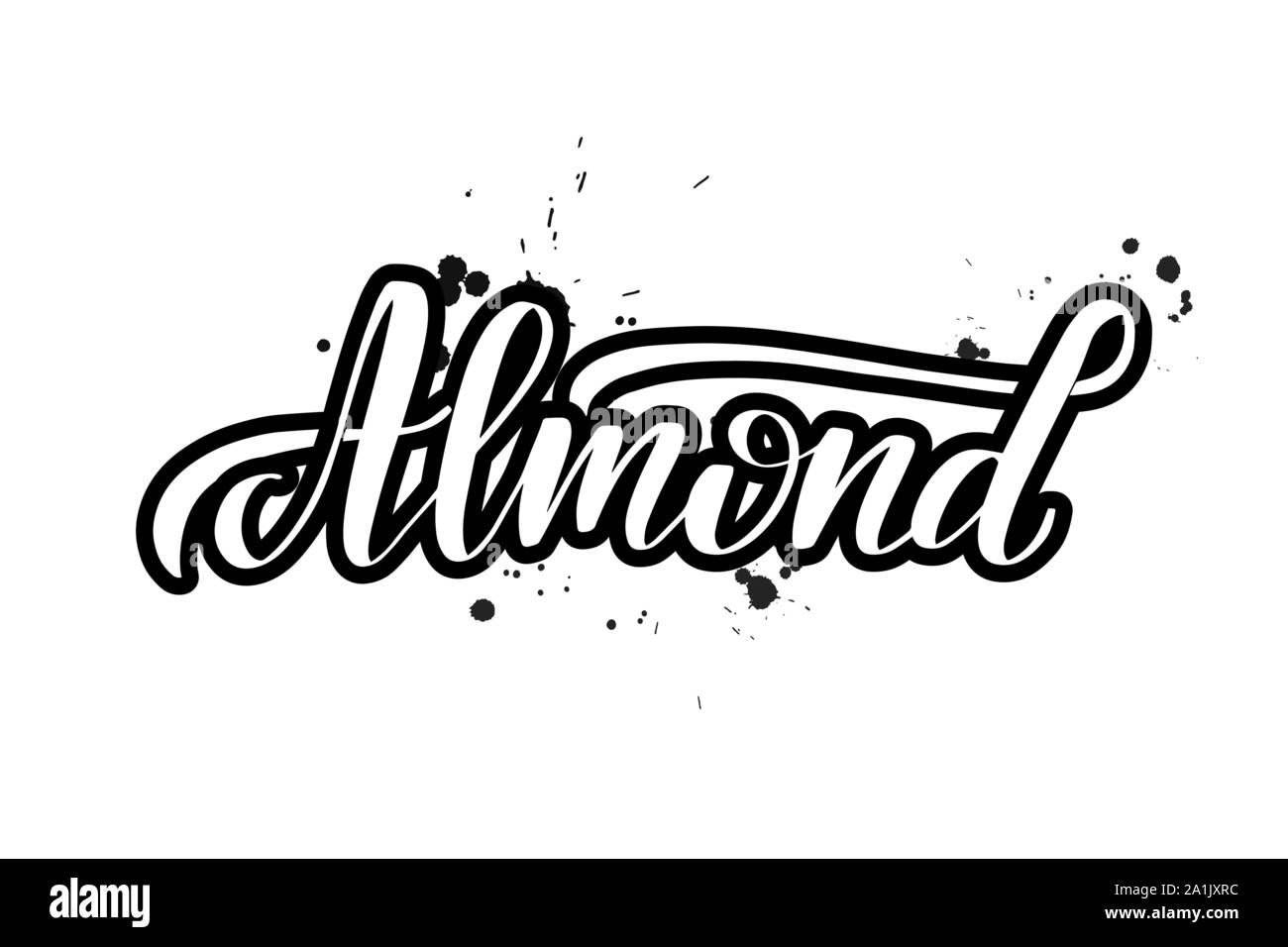 Vector calligraphy illustration isolated on white background Stock ...