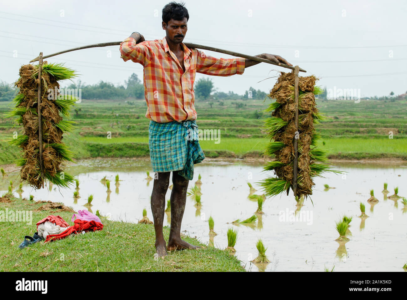 Hanging Rice High Resolution Stock Photography and Images - Alamy