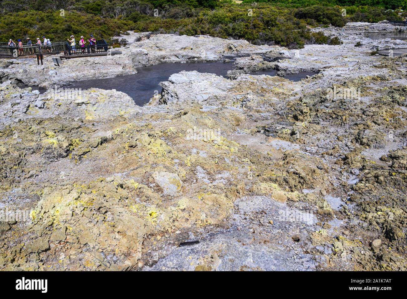 Hells gate new zealand hi-res stock photography and images - Alamy