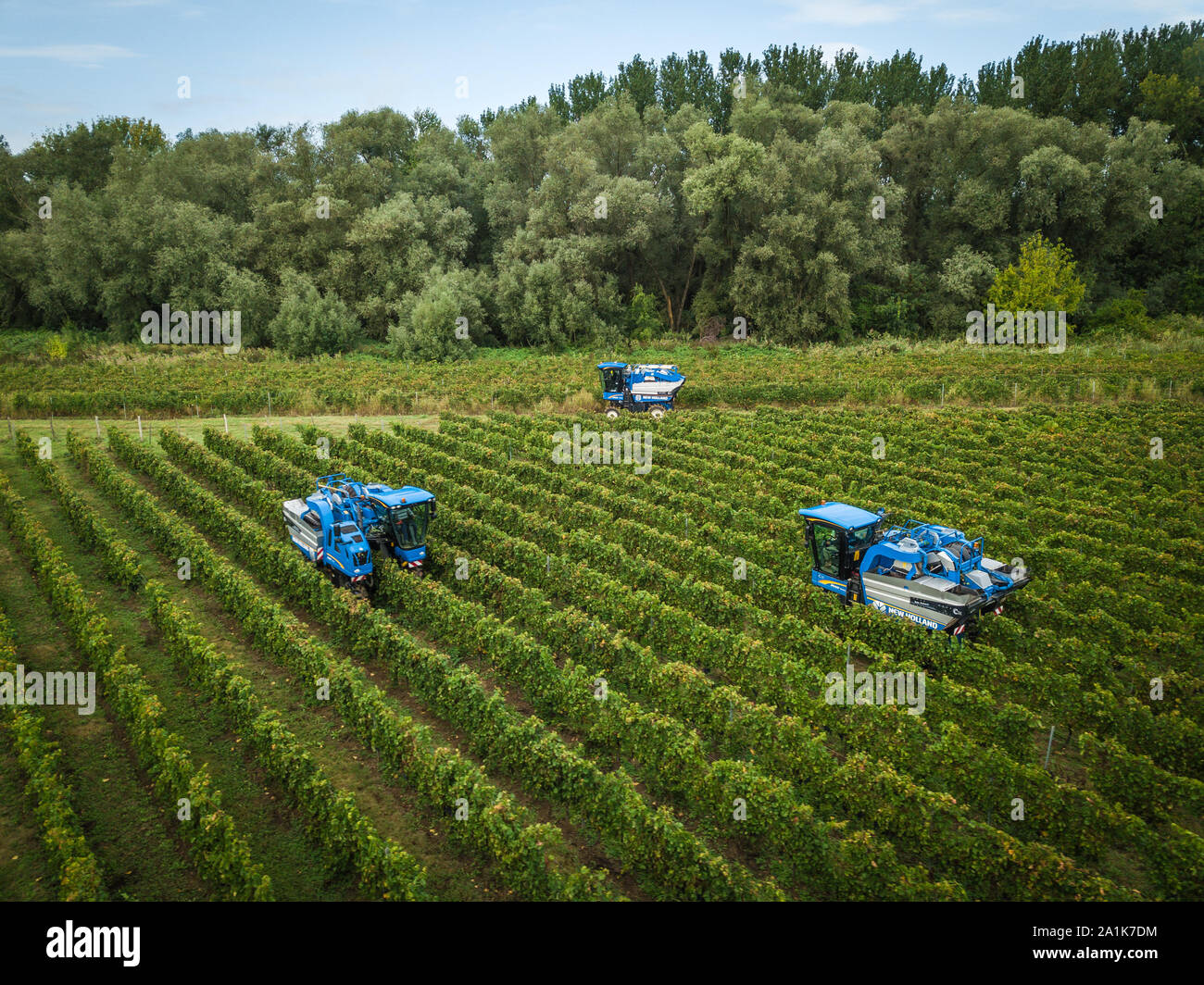 Vine machines hi-res stock photography and images - Alamy