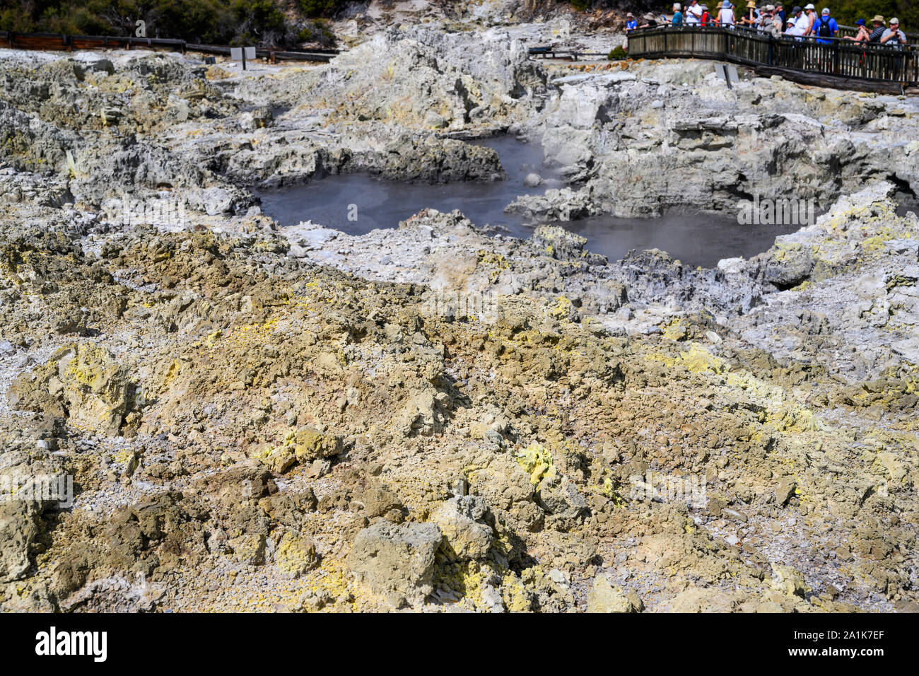 Hells gate new zealand hi-res stock photography and images - Alamy
