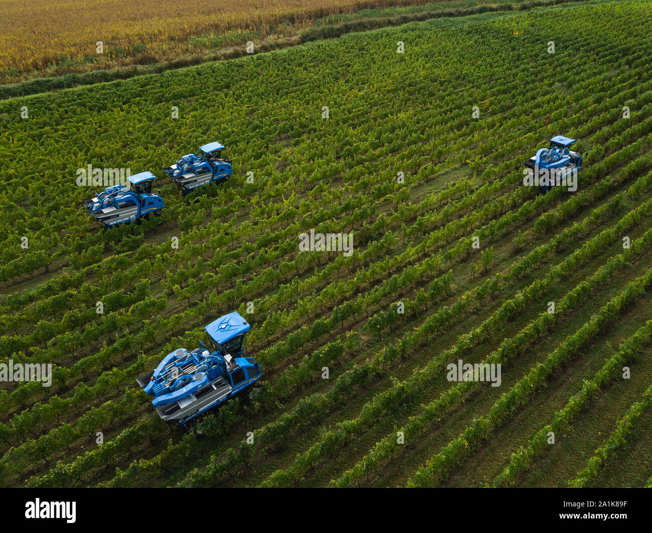 Vine machines hi-res stock photography and images - Alamy
