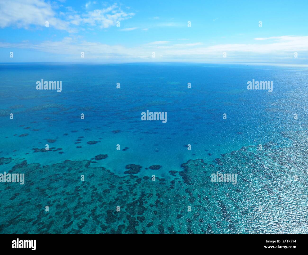 Great Barrier Reef Queensland Australia Stock Photo - Alamy