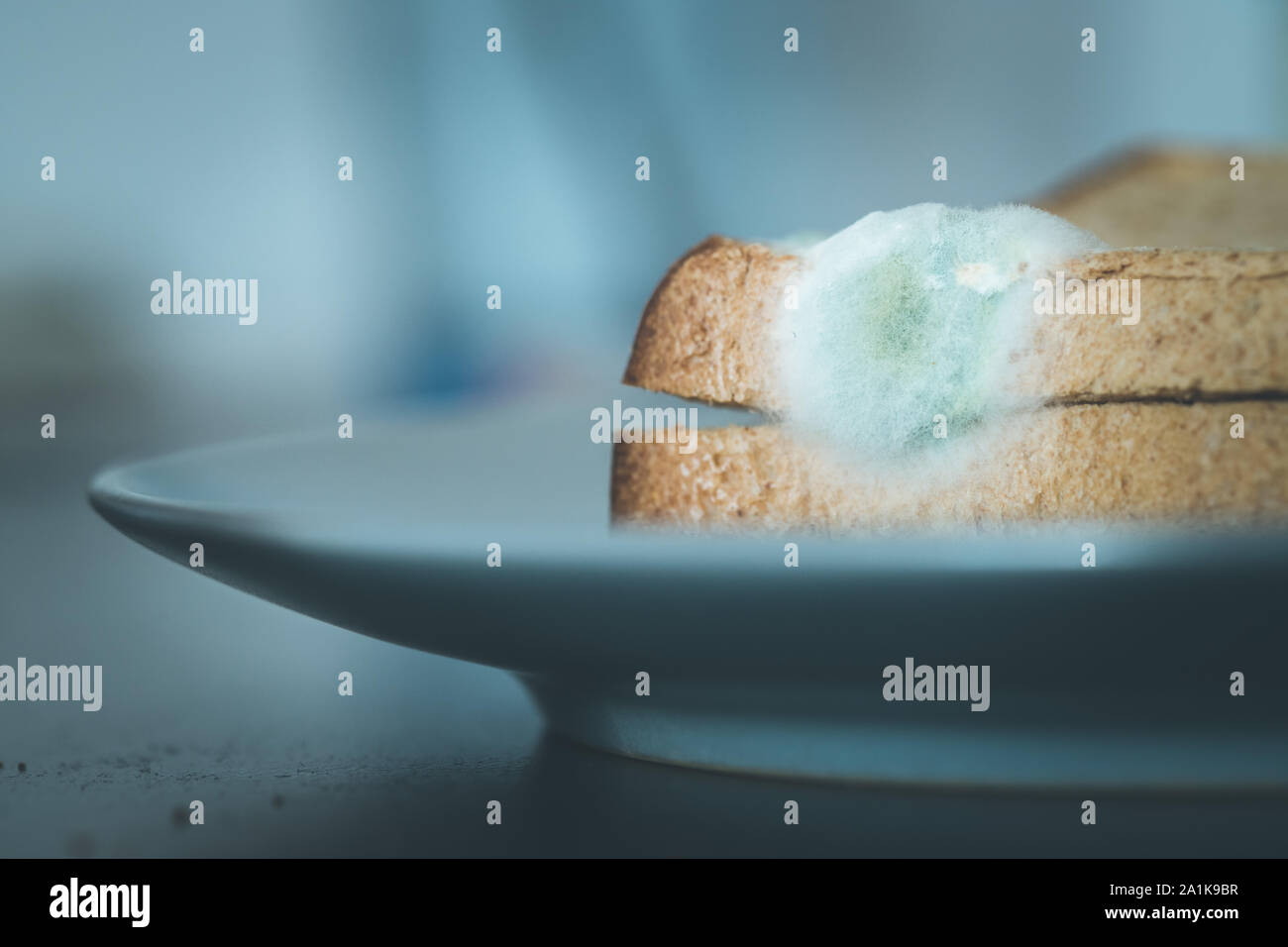 Spoiled toast hi-res stock photography and images - Alamy