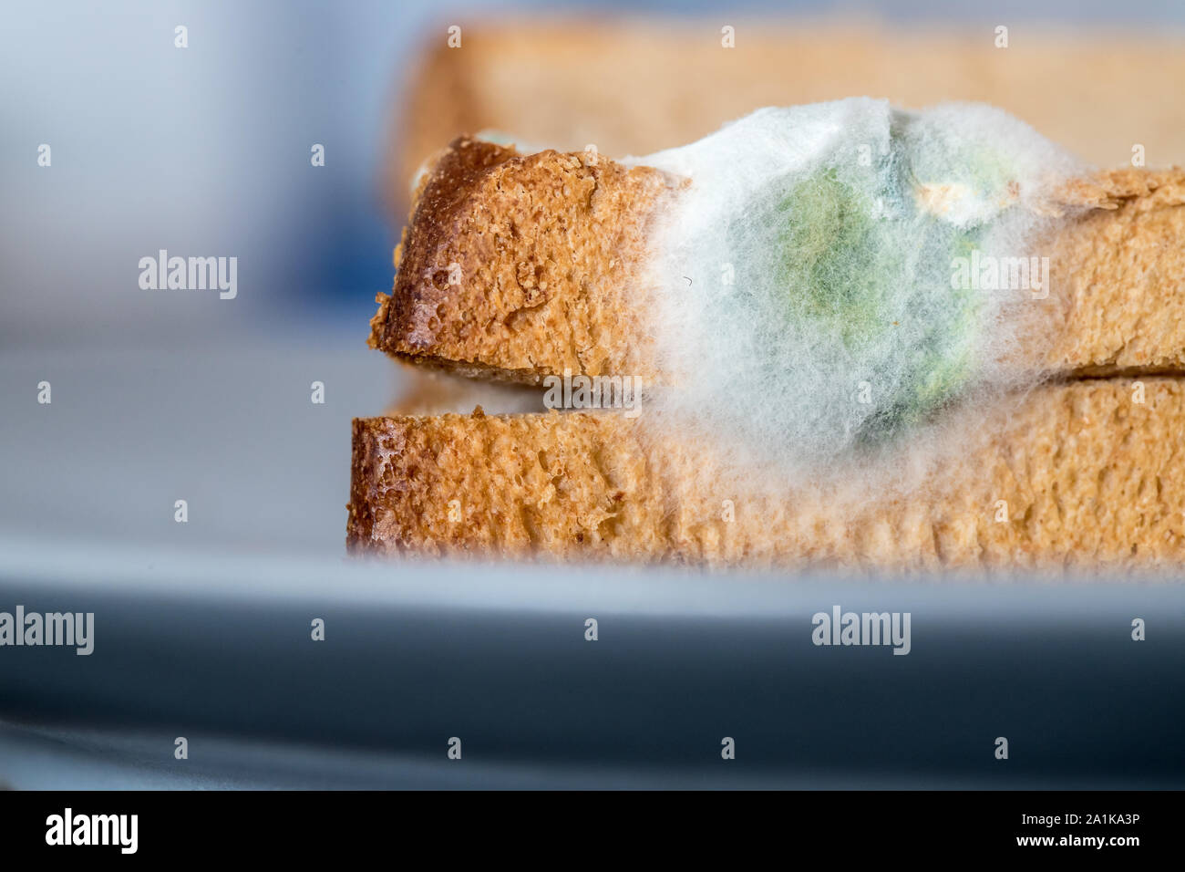 Spoiled toast hi-res stock photography and images - Alamy