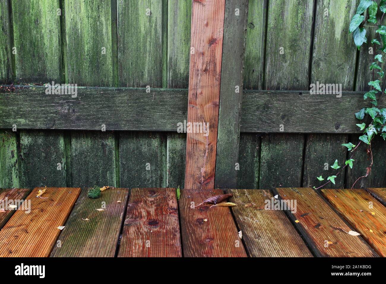 Fresh wood texture hi-res stock photography and images - Alamy
