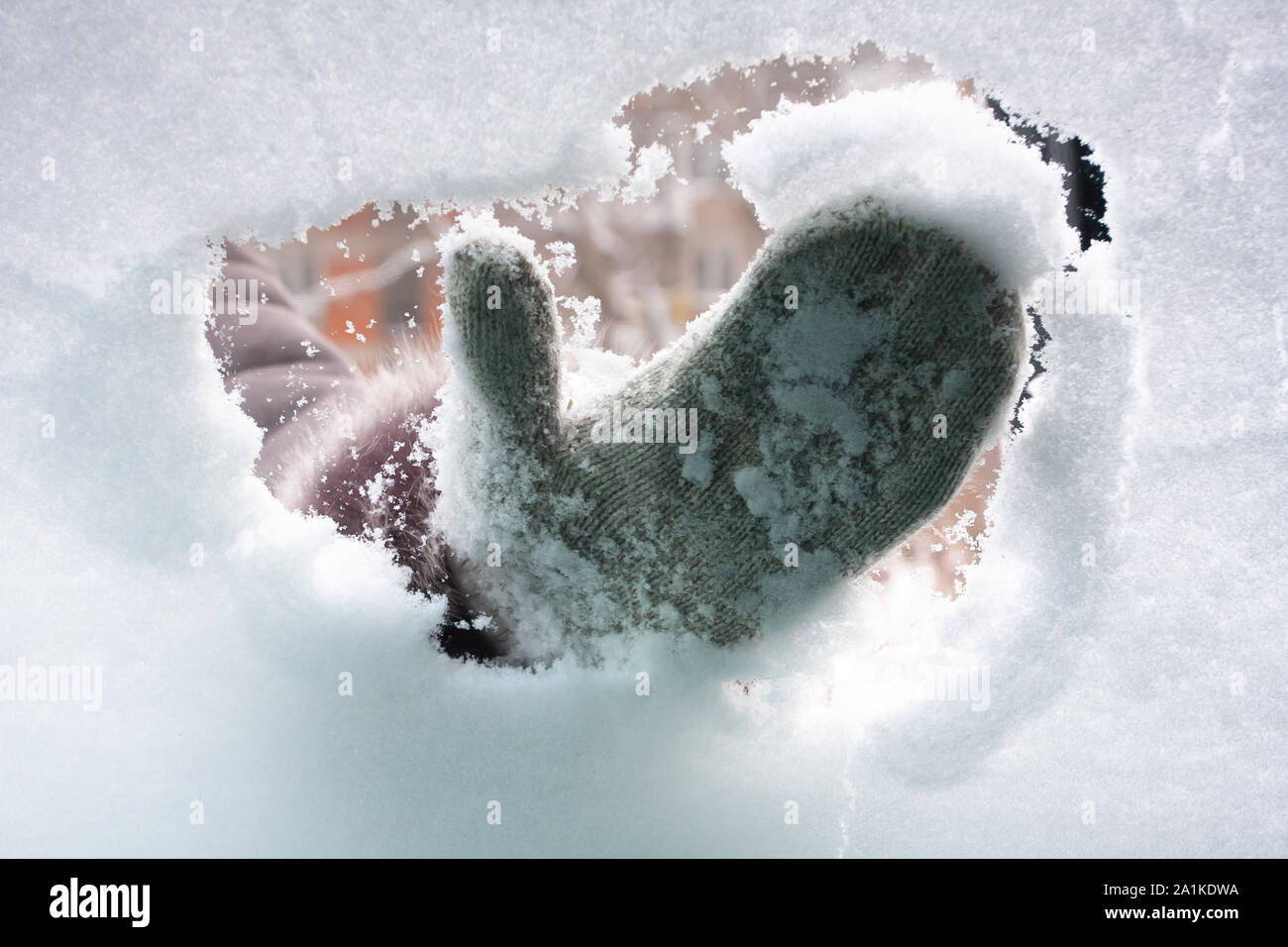 hand in mitten cleaning window of car from the snow, inside view Stock ...