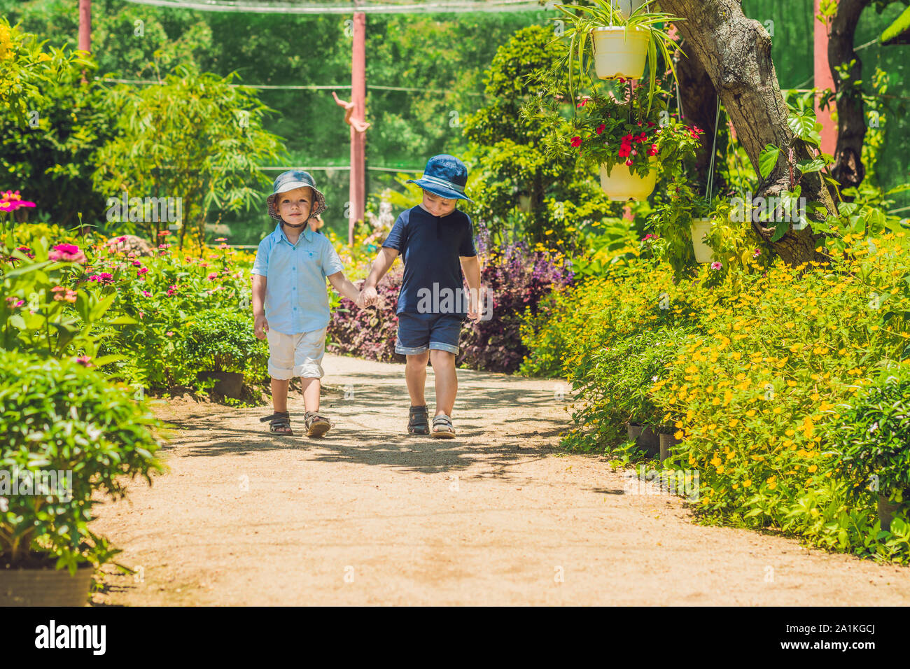 Two happy brothers running together on a park path in a tropical park ...