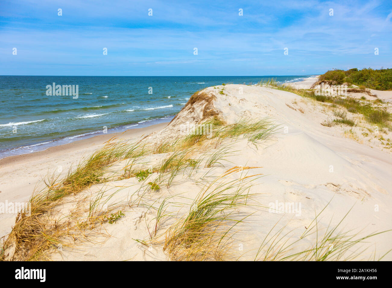 Curonian spit national park hi-res stock photography and images - Alamy