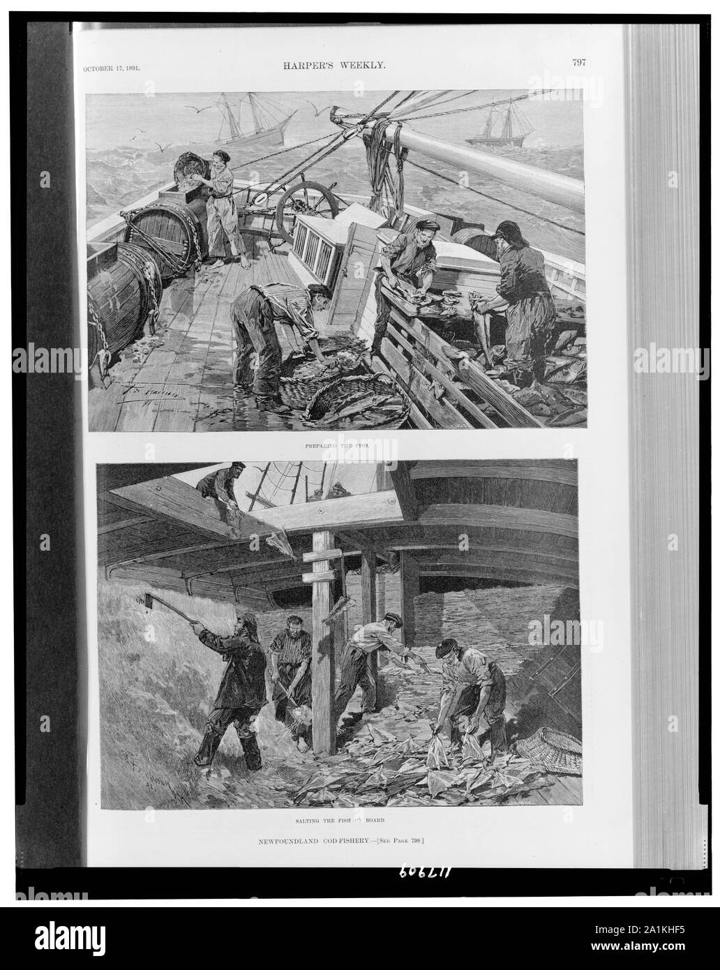 Fishery industry Cut Out Stock Images & Pictures - Alamy