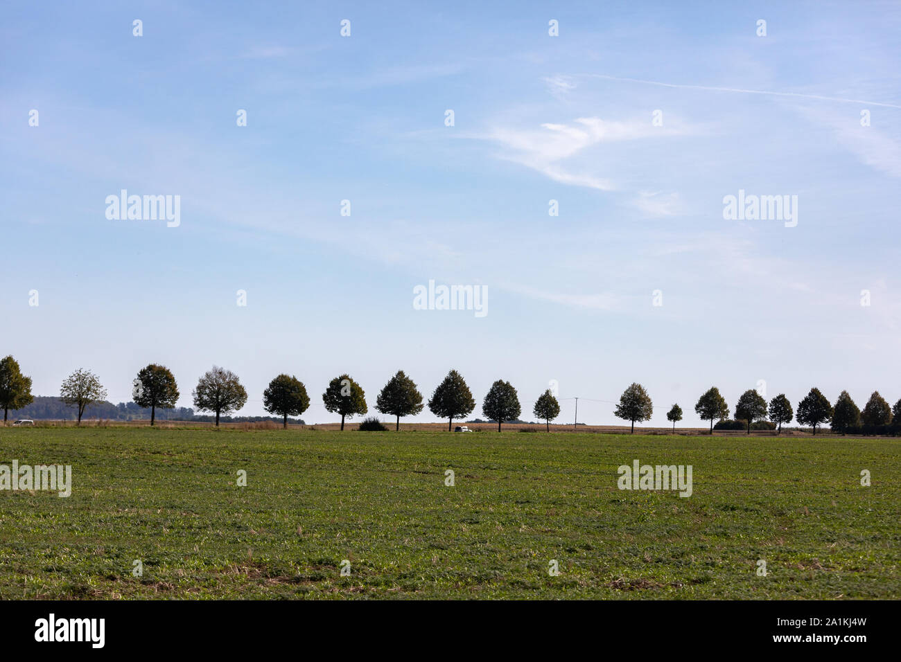 German countryside landscape: series of trees with hills as background ...