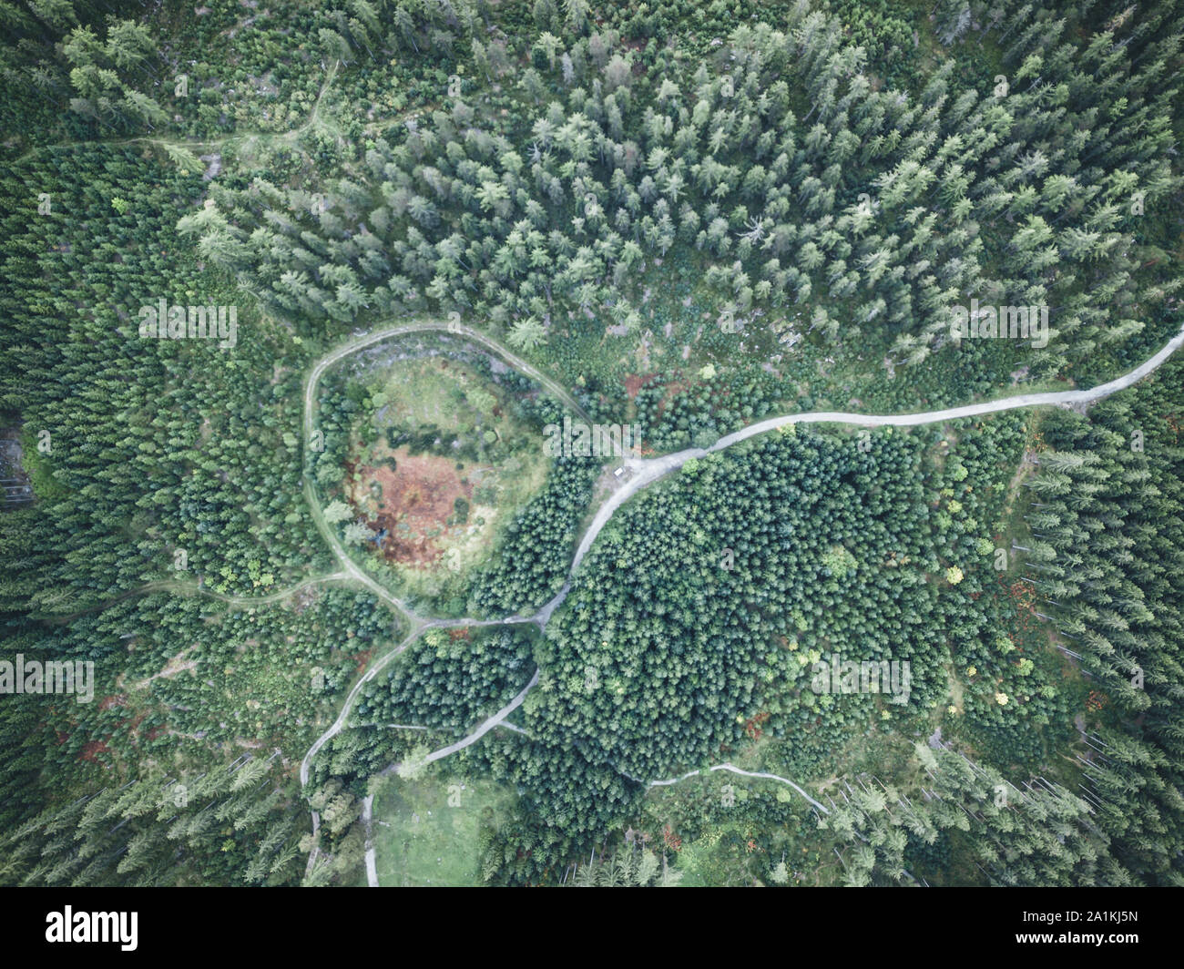 Aerial Top View Deciduous Forest High Resolution Stock Photography and ...
