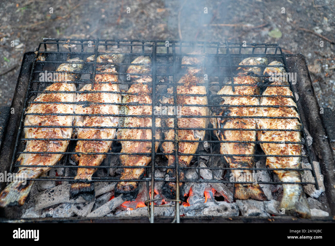 Barbecue grilled fish in the garden Stock Photo - Alamy