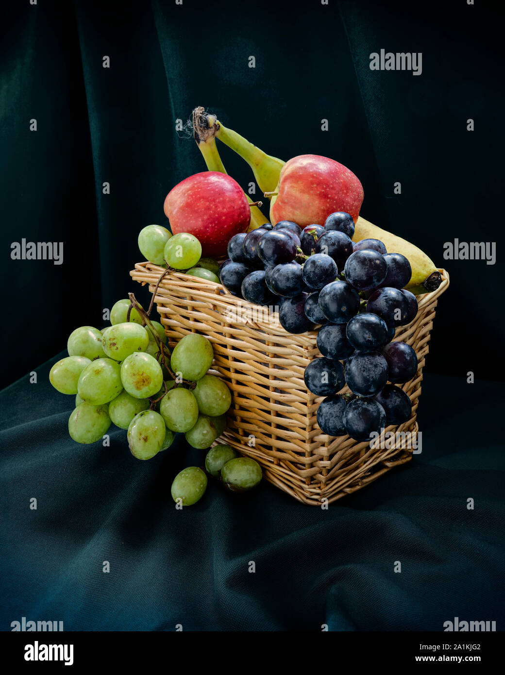 Flora fauna art hi-res stock photography and images - Alamy