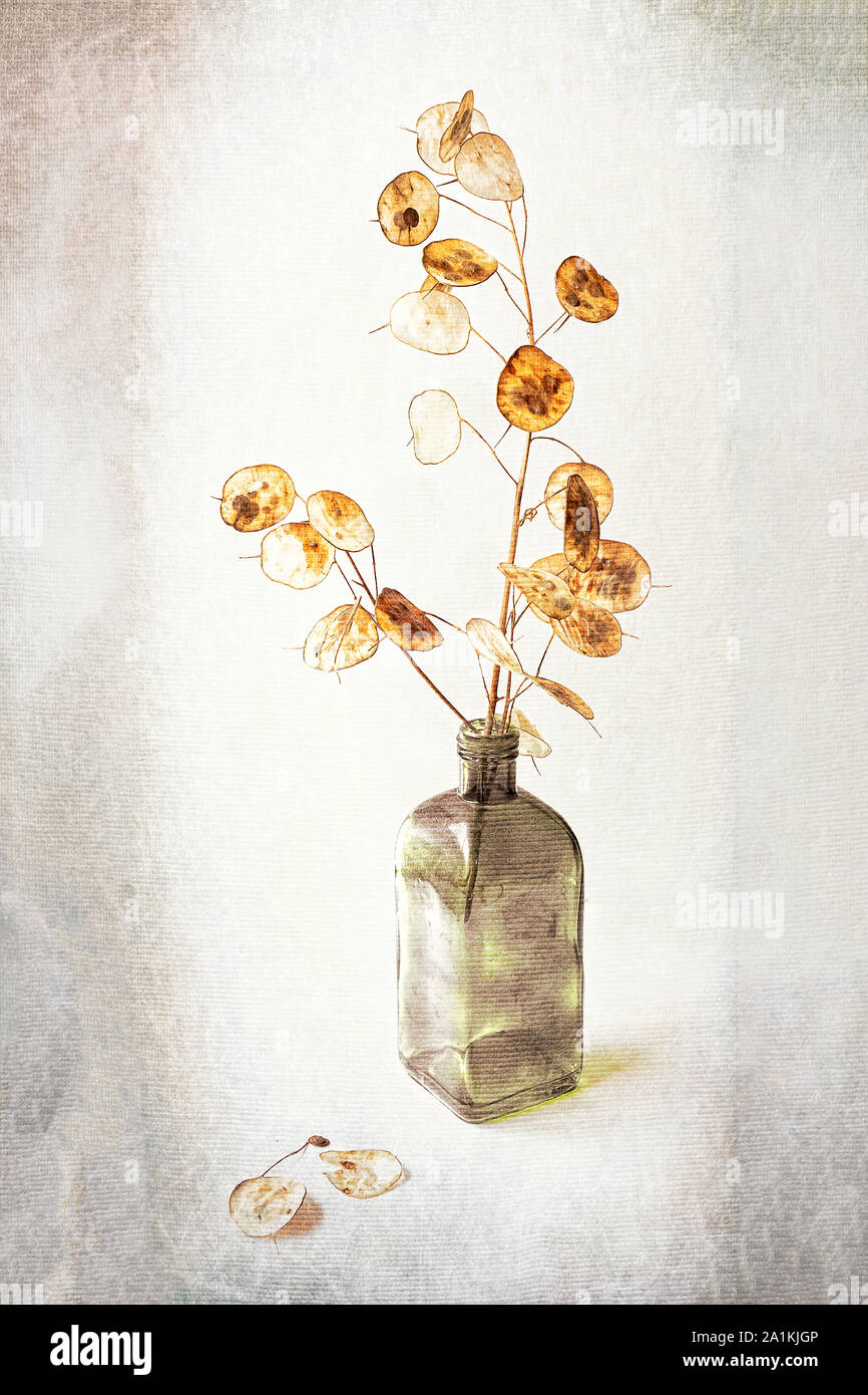 Flora and fauna specimen hi-res stock photography and images - Alamy