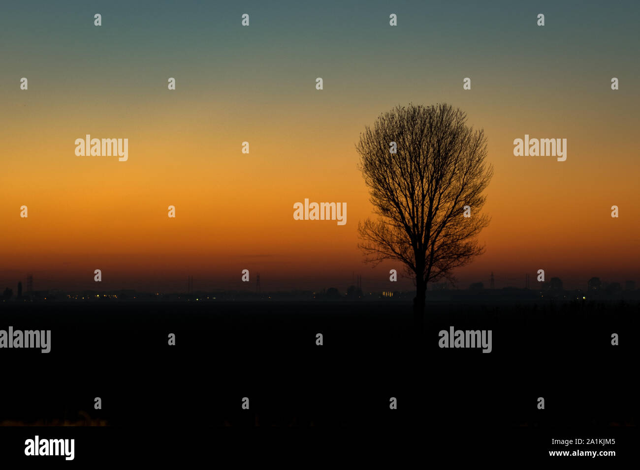 Solitaire tree hi-res stock photography and images - Alamy