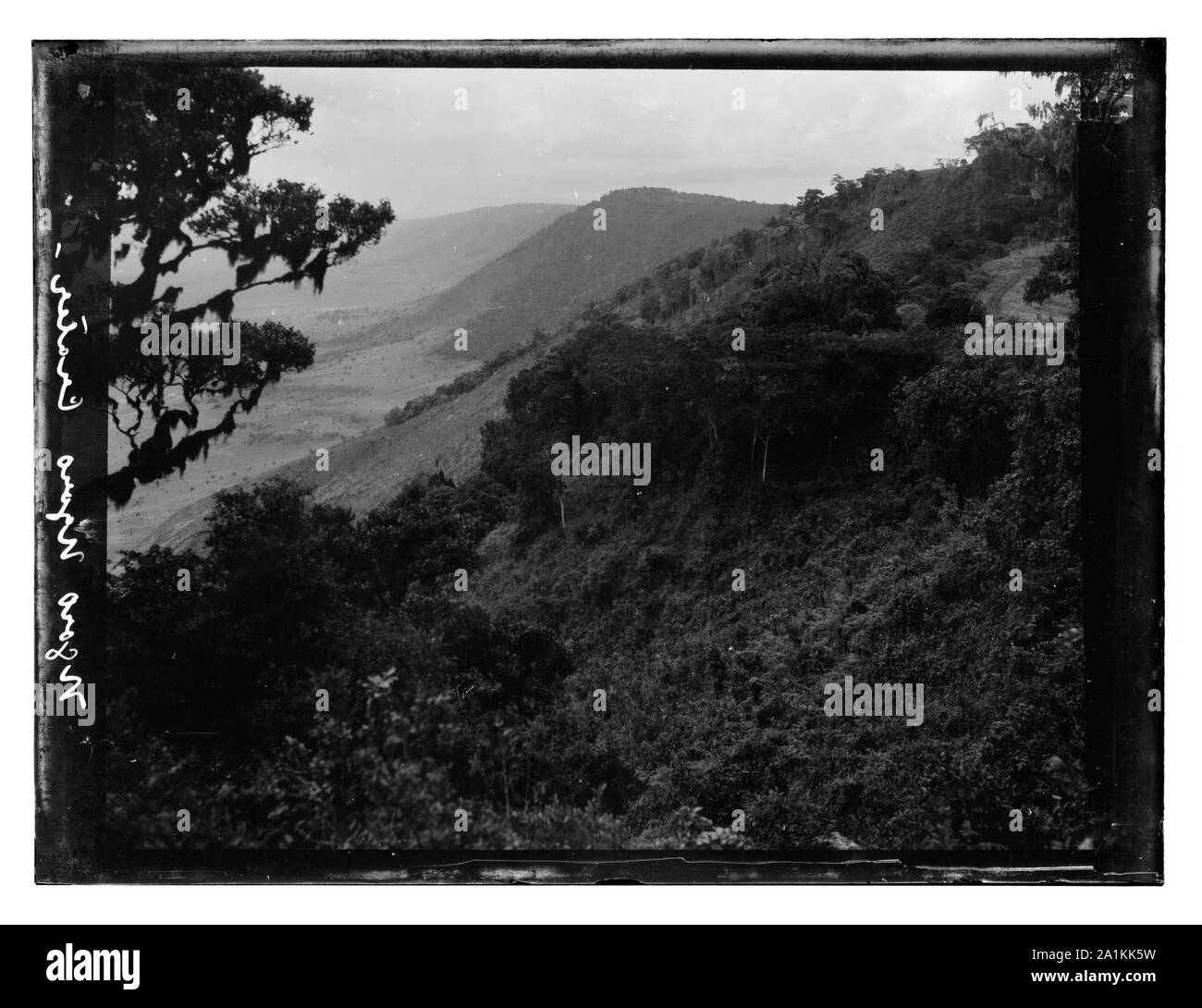 Ngoro Ngoro Crater Stock Photo - Alamy