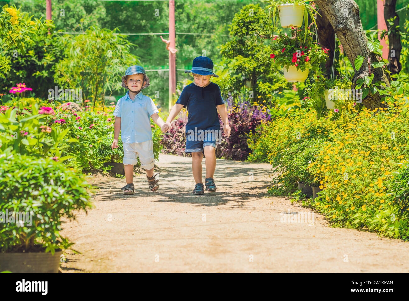 Two happy brothers running together on a park path in a tropical park ...