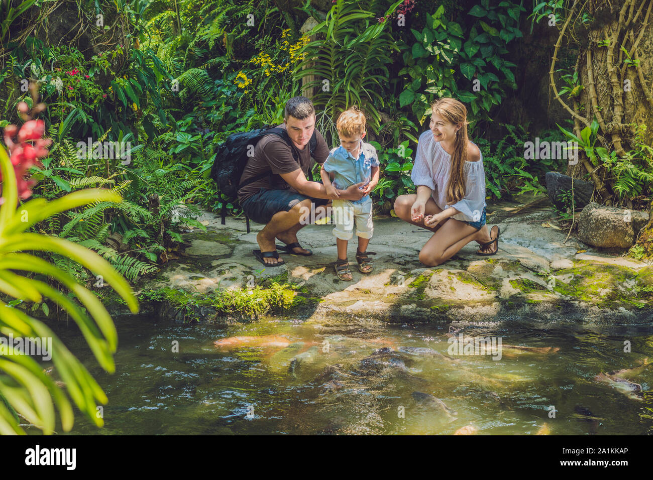 happy family feeding colorful Catfish in tropical pond Stock Photo - Alamy