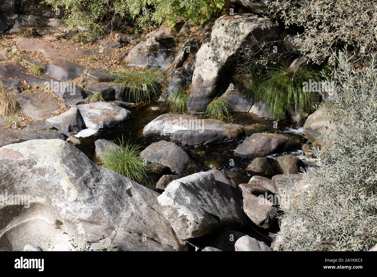 River on the moutain rapids Stock Photo - Alamy