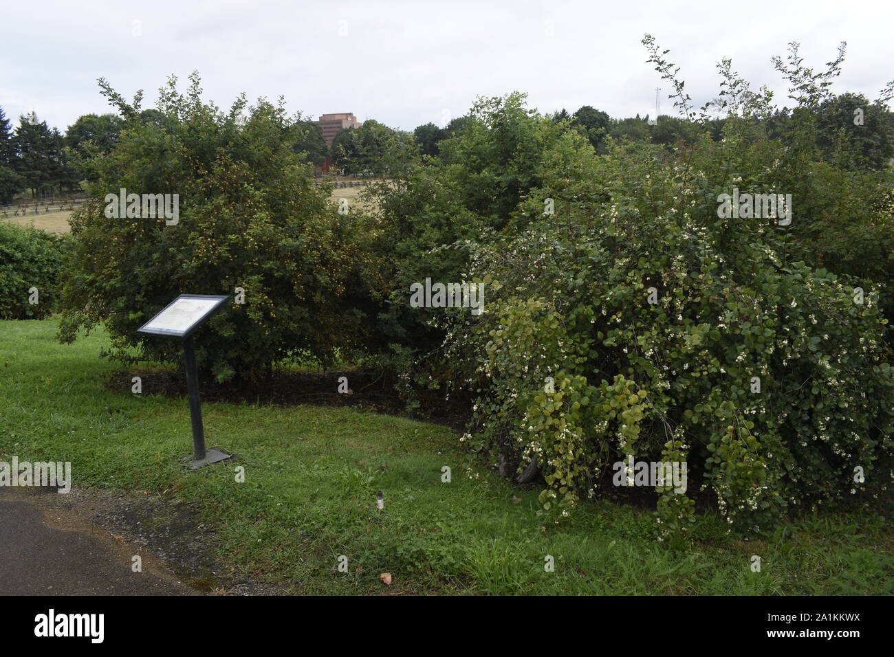 The Vancouver Land Bridge is design as an ethnobotanical walkway ...