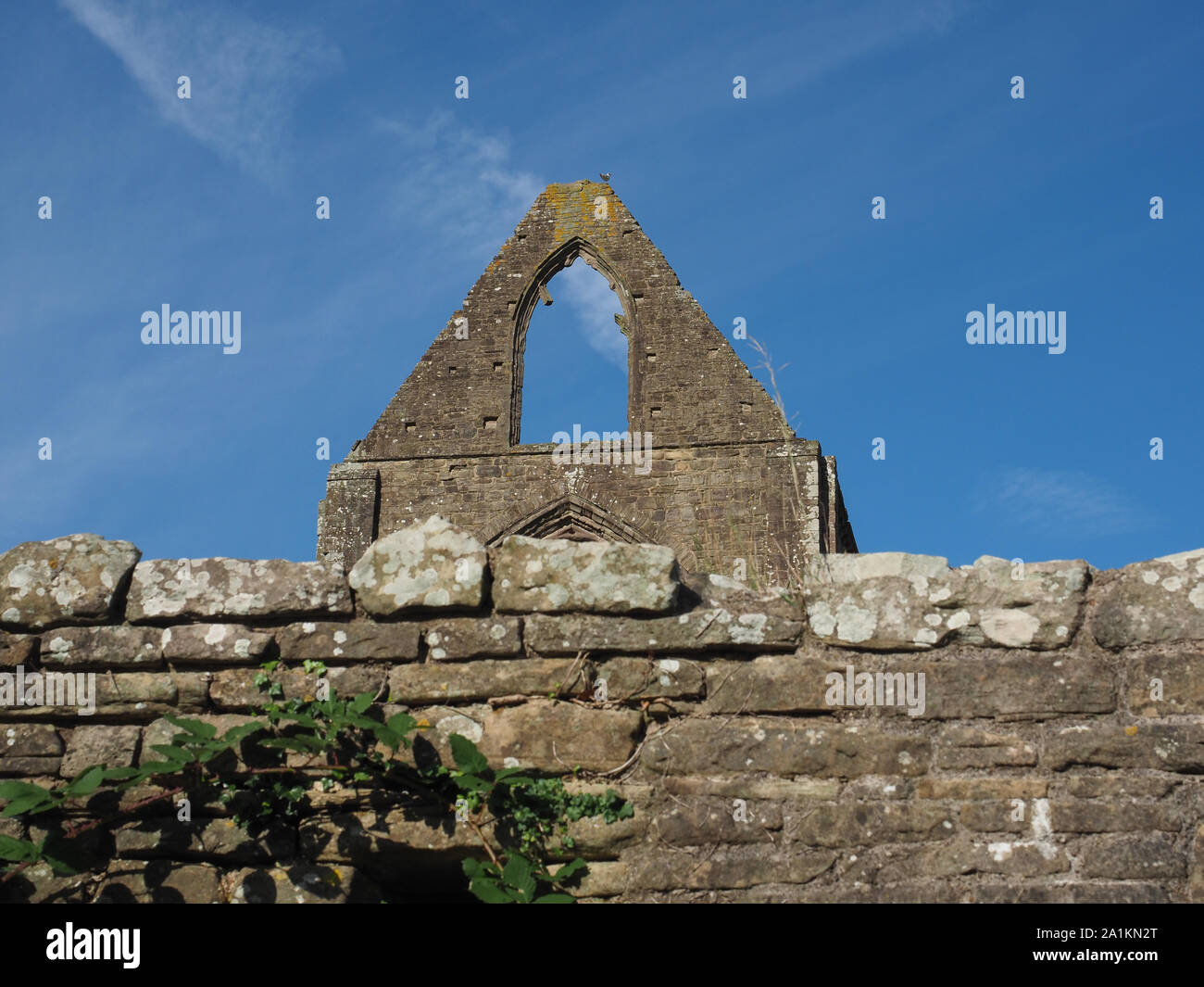 Tintern Abbey (Abaty Tyndyrn in Welsh) ruins in Tintern, UK Stock Photo ...