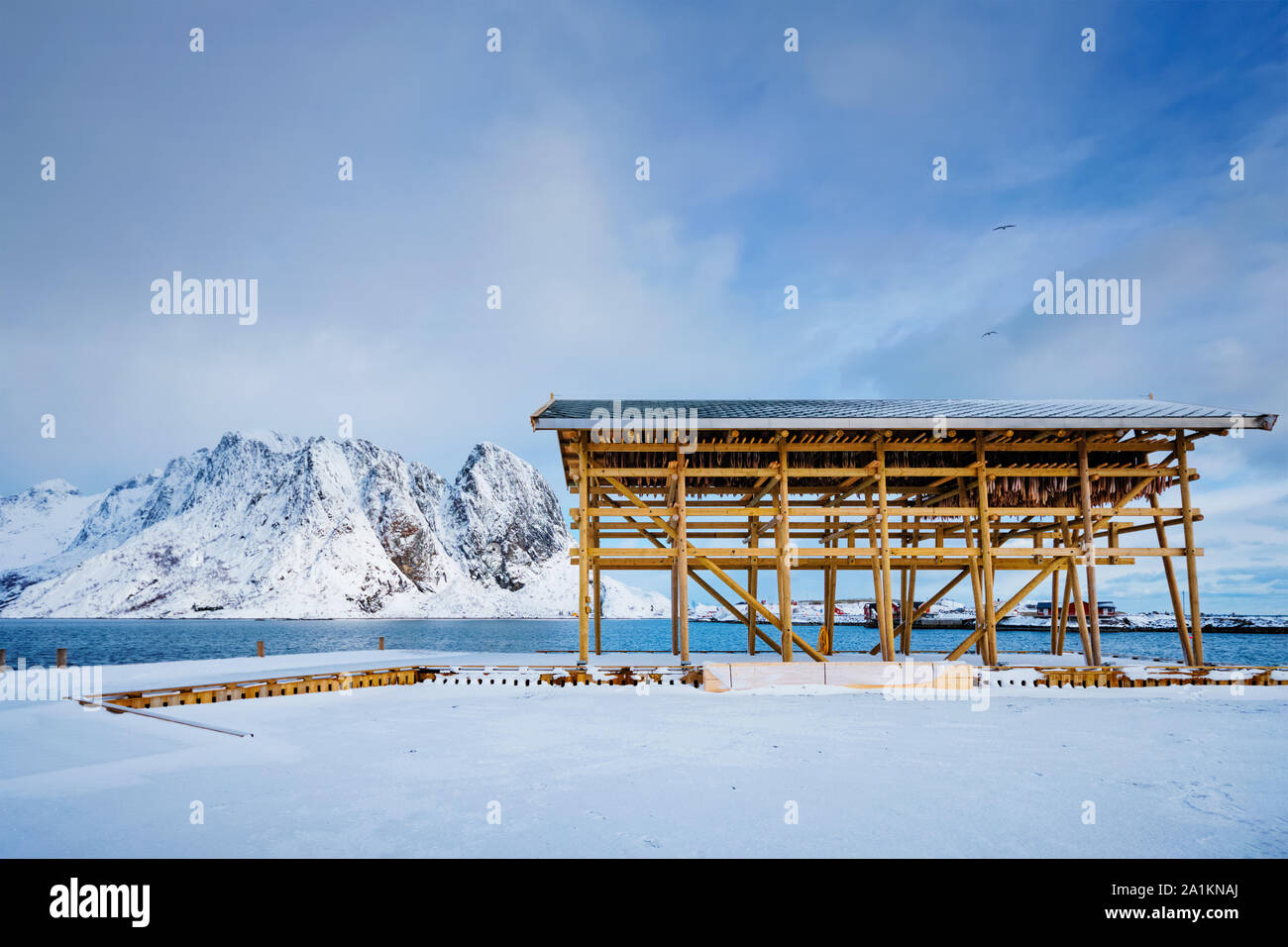 Drying flakes for stockfish cod fish in winter. Lofoten islands, Norway ...