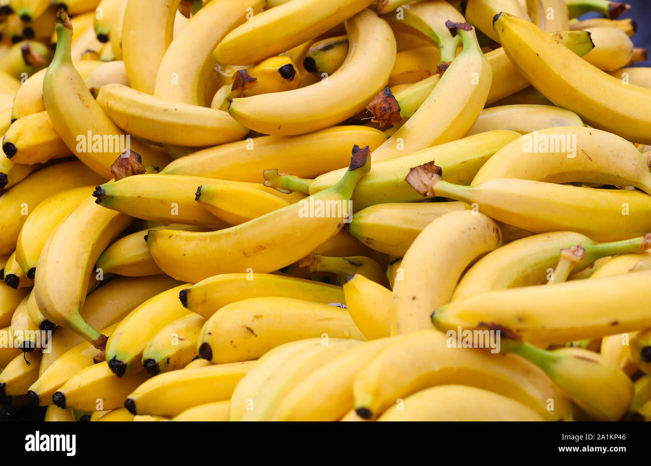 A lot of yellow bananas Stock Photo - Alamy
