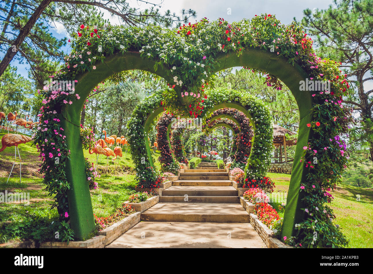 Heart shape bush in the park, green fresh Stock Photo - Alamy