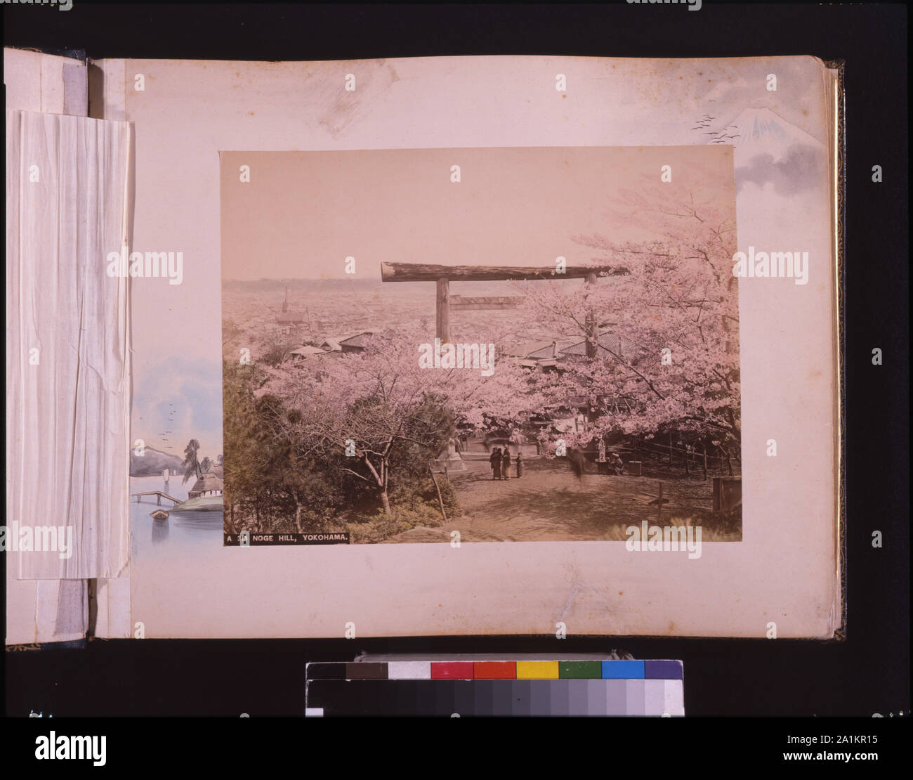 Noge hi-res stock photography and images - Alamy