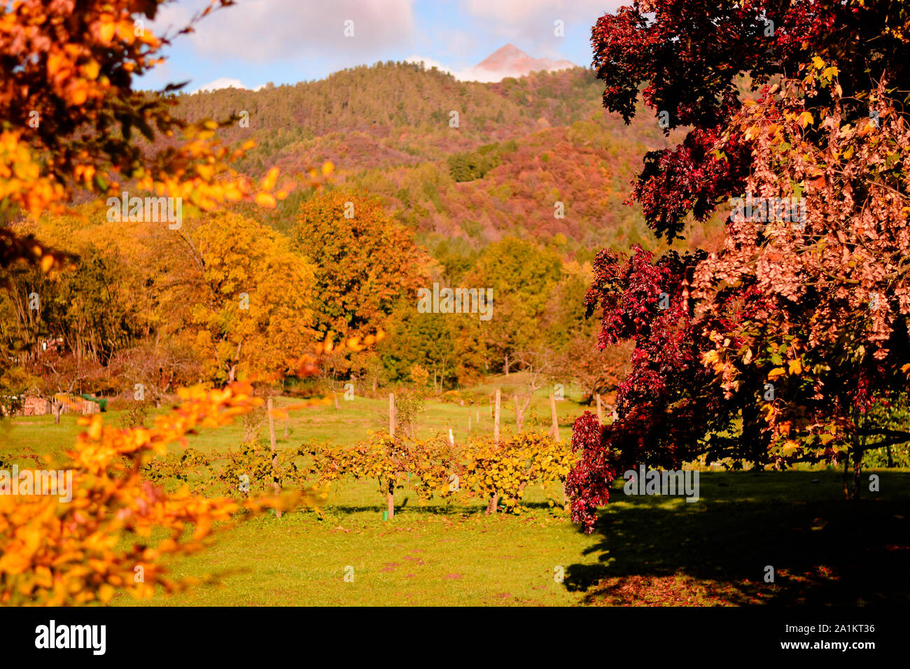 the colors of autumn Stock Photo - Alamy