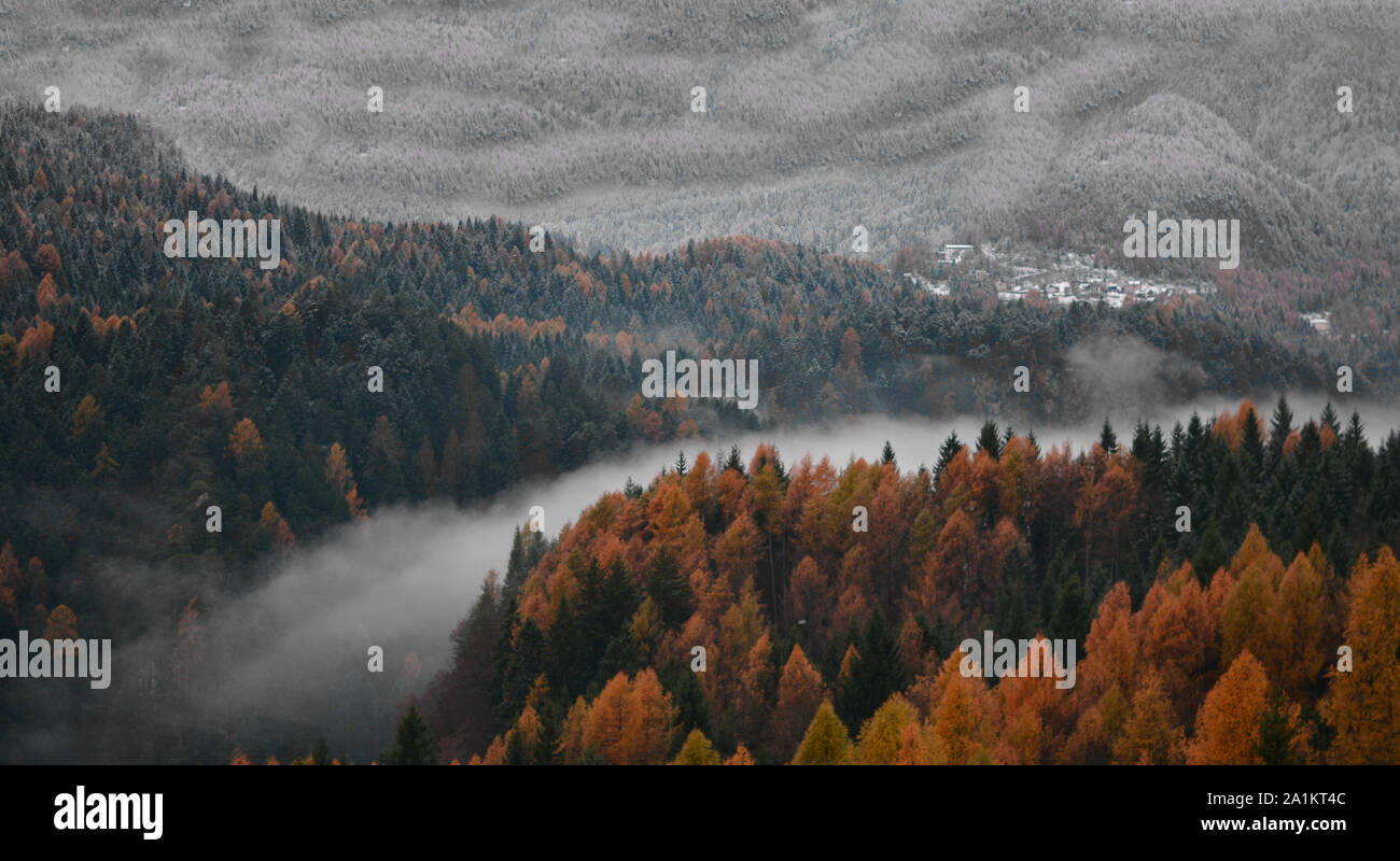 snow covers the colors of autumn Stock Photo - Alamy