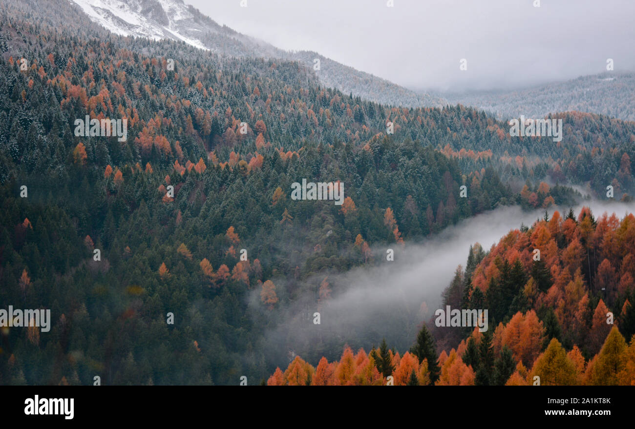 snow and fog Stock Photo - Alamy