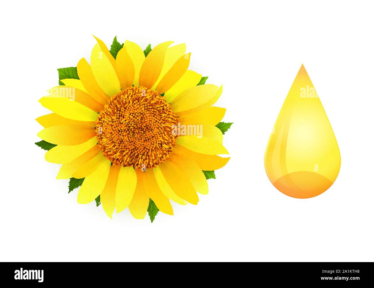 Sunflower oil Stock Vector Images - Alamy