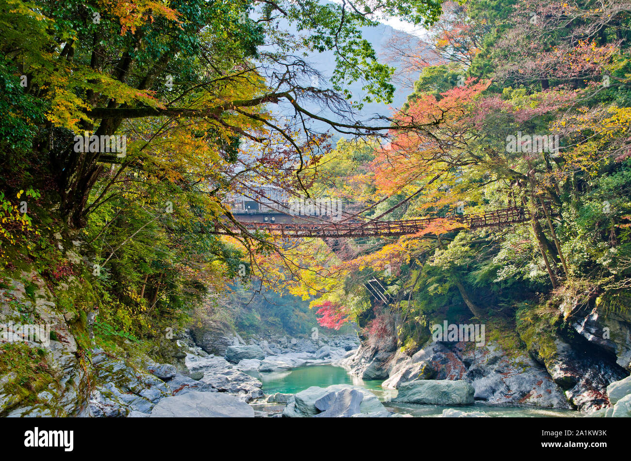 Iya valley and Kazurabashi vine bridge, Tokushima, Shikoku, Japan Stock ...