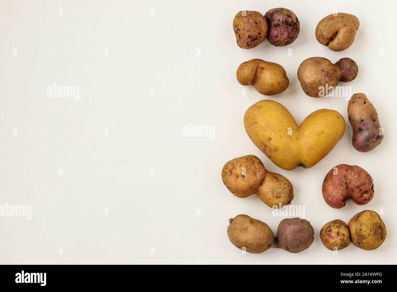 Ugly organic abnormal vegetables - potatoes on white background ...