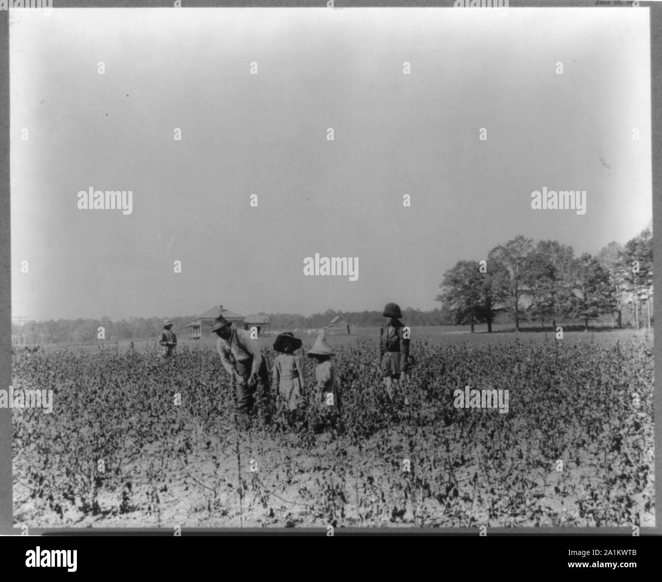 North henderson Black and White Stock Photos & Images - Alamy