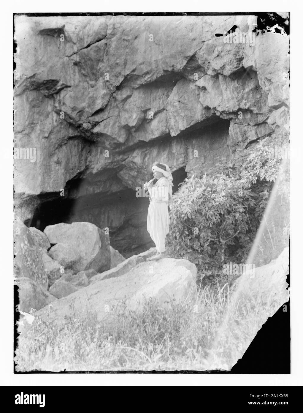 Botanical study plant life Cut Out Stock Images & Pictures - Alamy