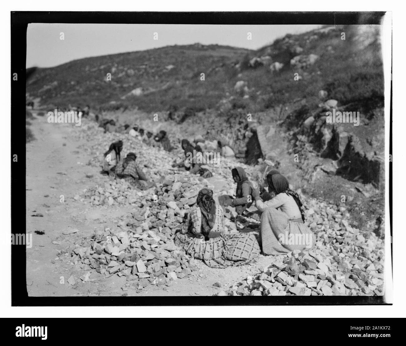1917 study Cut Out Stock Images & Pictures - Alamy