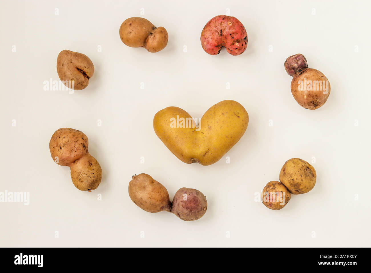 Potato odd shape hi-res stock photography and images - Alamy