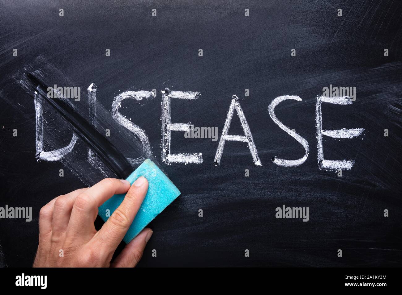 Person's Hand Erasing The Word Disease With Blue Sponge Written On ...