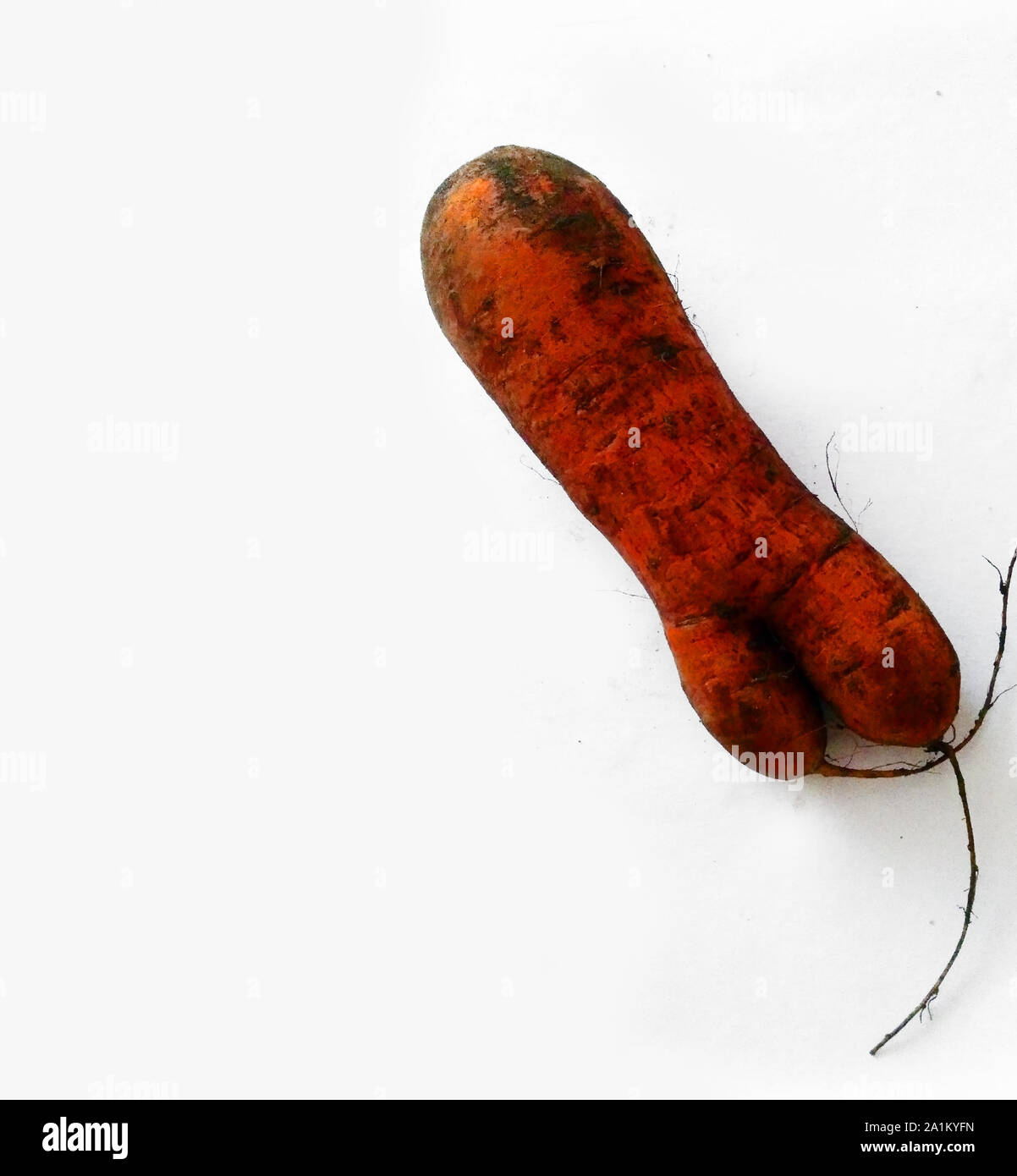Imperfect fresh organic ugly carrot isolated on white background Stock ...