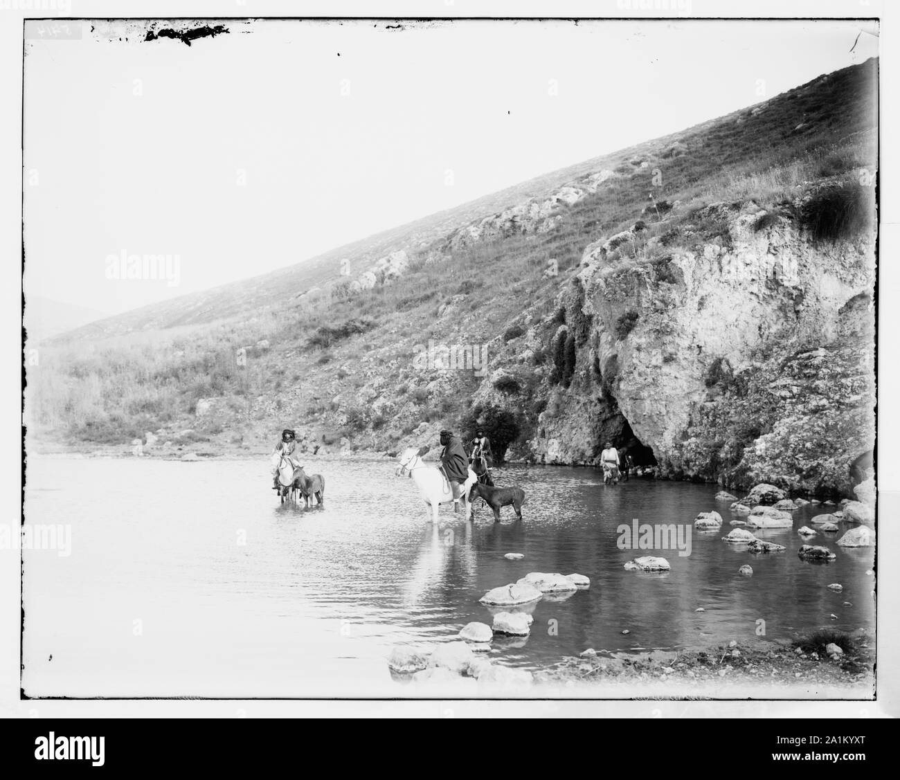 Foliage fountain Black and White Stock Photos & Images - Alamy