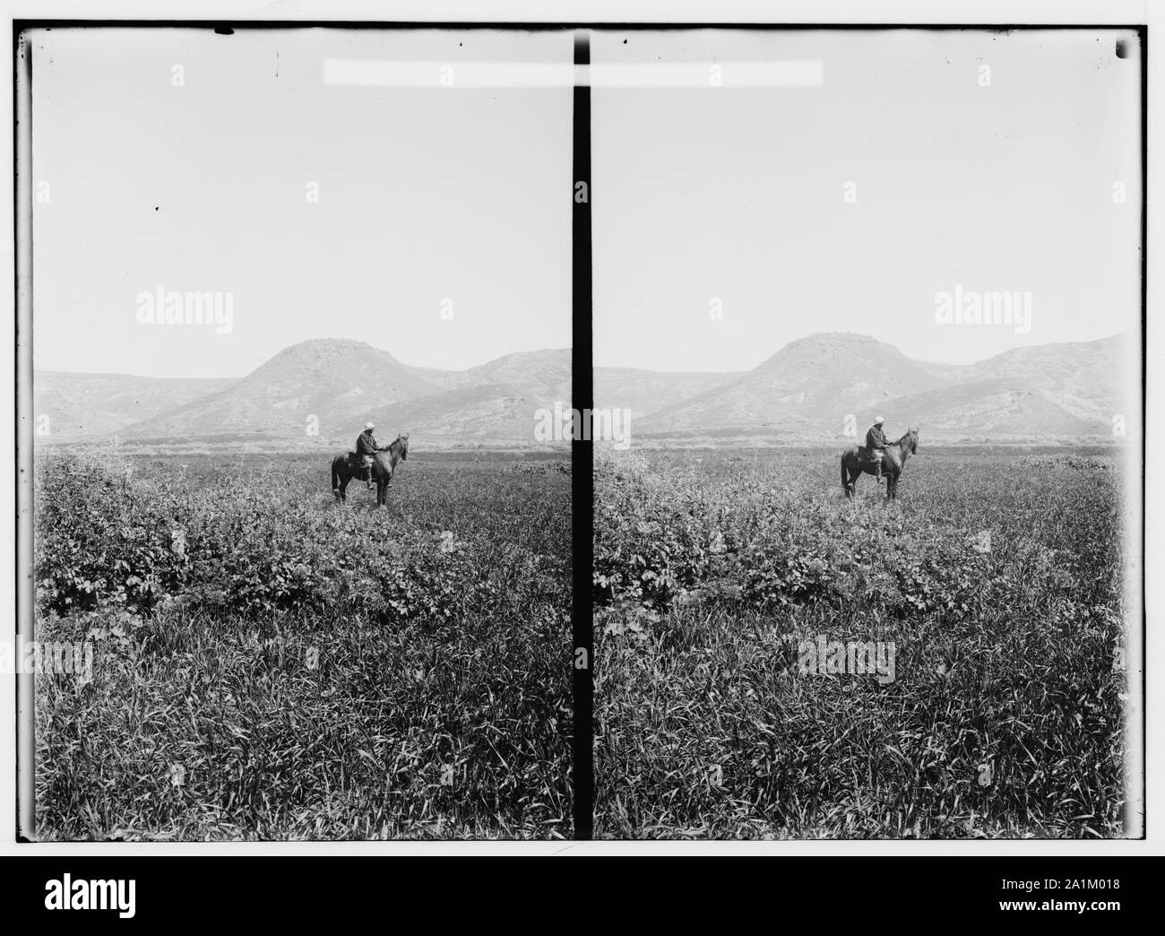 Gamala Black and White Stock Photos & Images - Alamy