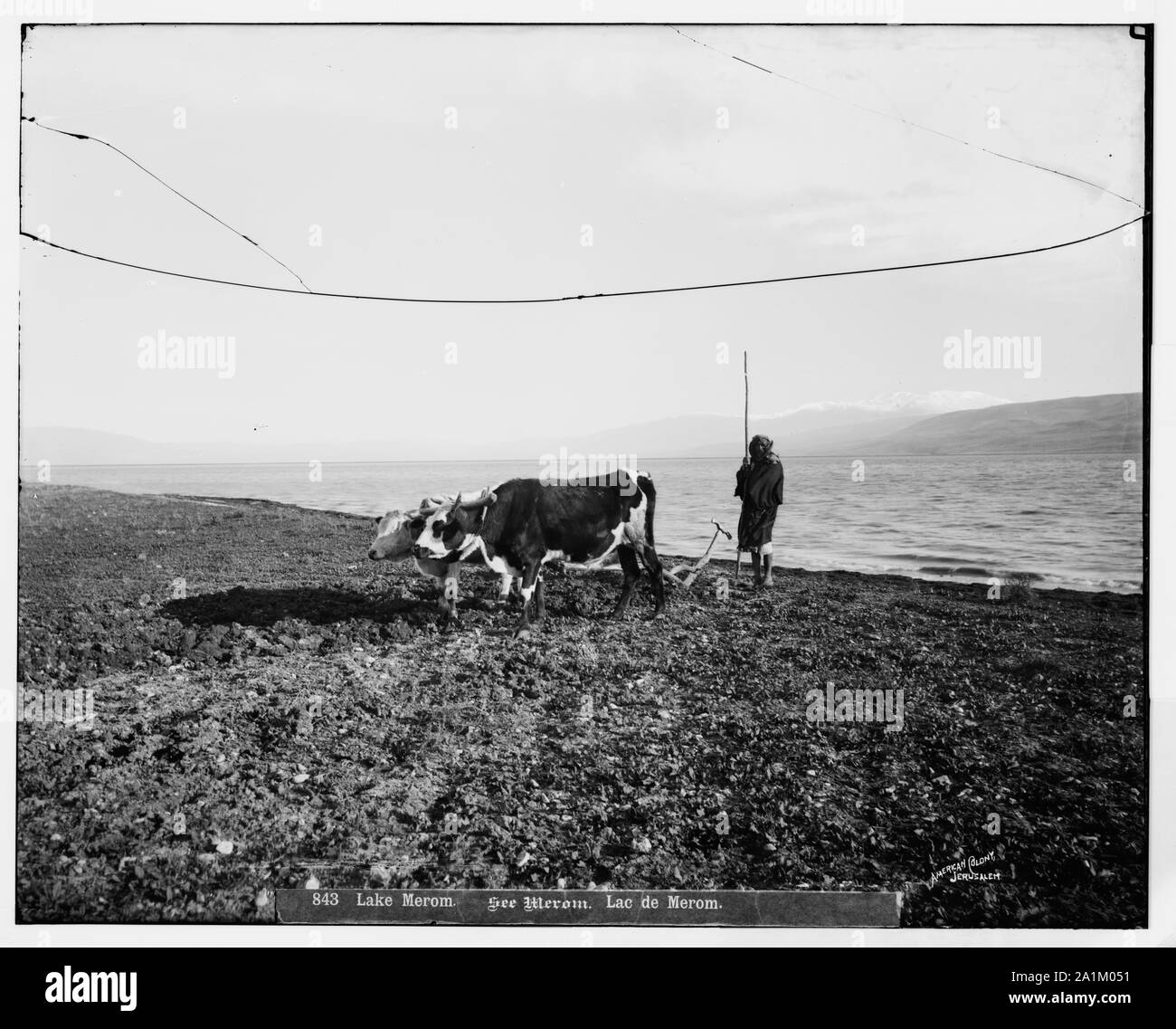 Views of mount hermon hi-res stock photography and images - Alamy