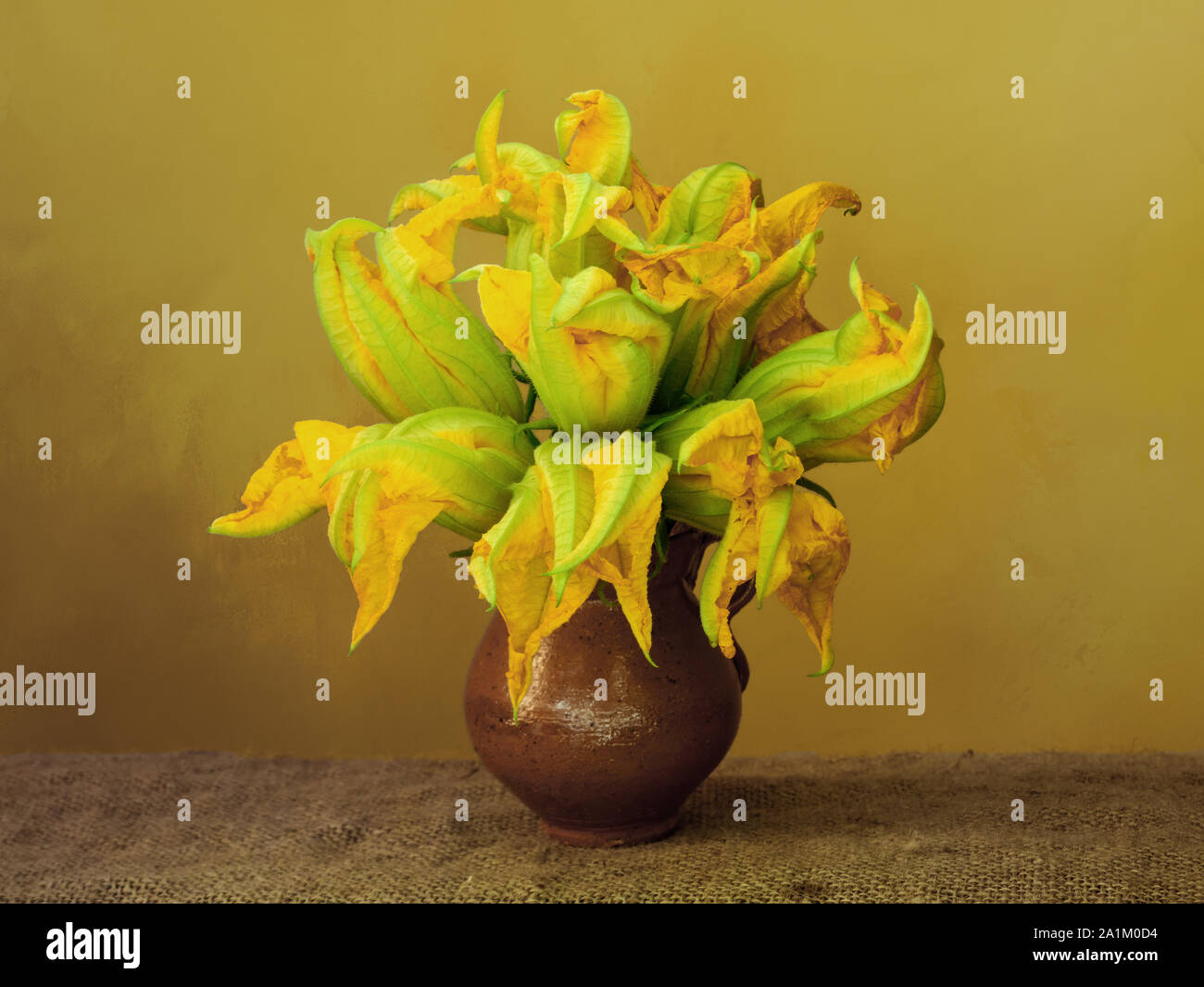 Zucchini flowers in rustic setting, with copy space. Still life Stock ...