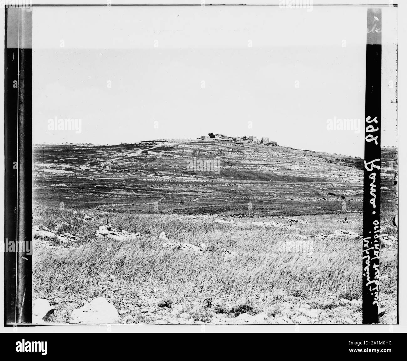 Er ram hi-res stock photography and images - Alamy