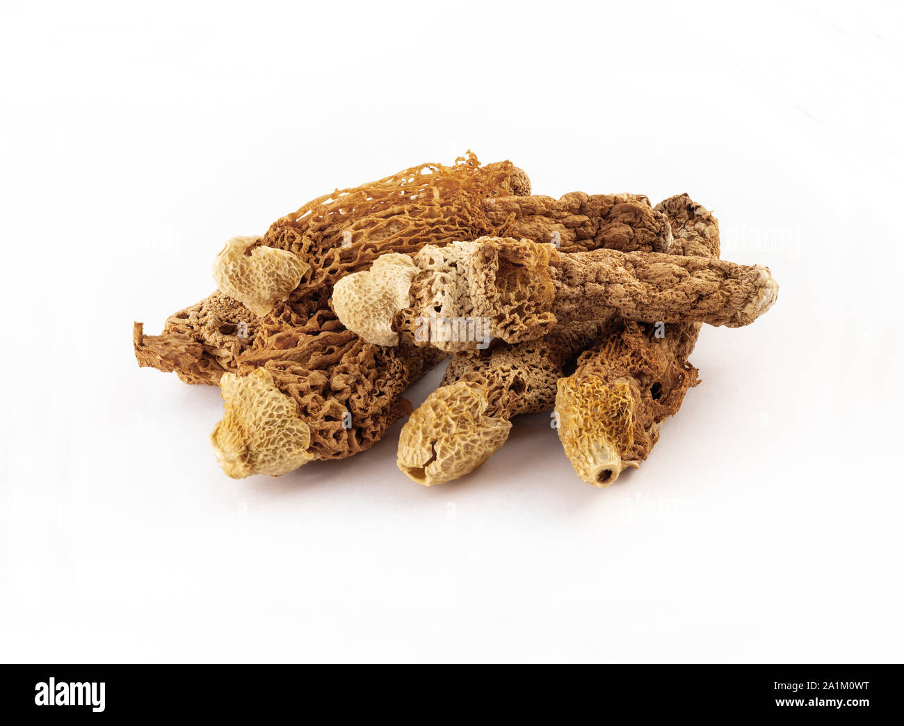 a group of bamboo fungus on white background Stock Photo - Alamy